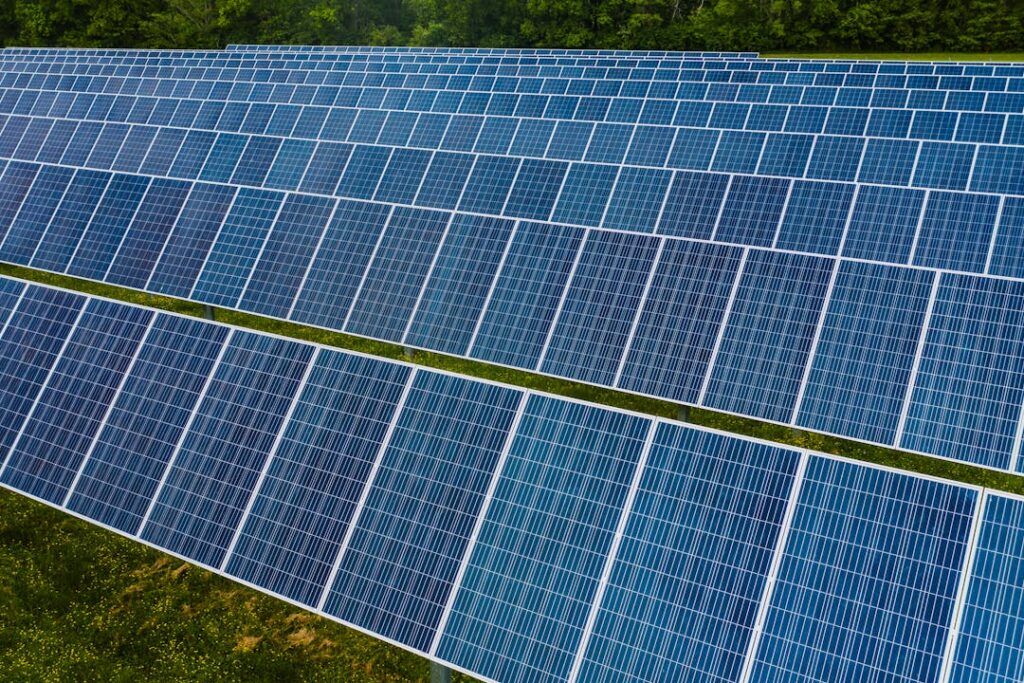 Guía Del Huerto Solar. Todo Lo Que Necesitas Saber En 2026 | LIVINGKITS